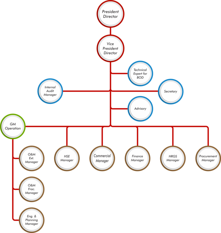 PT Perta-Samtan Gas | Struktur Organisasi